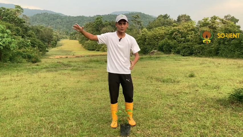 Muhammad Nur Iman bin Mohd Taufik - Bakat Rakyat